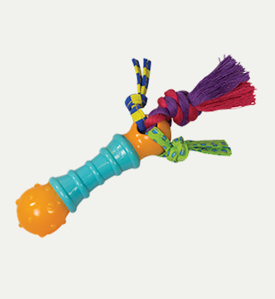 Chew Toy – Petcare V2